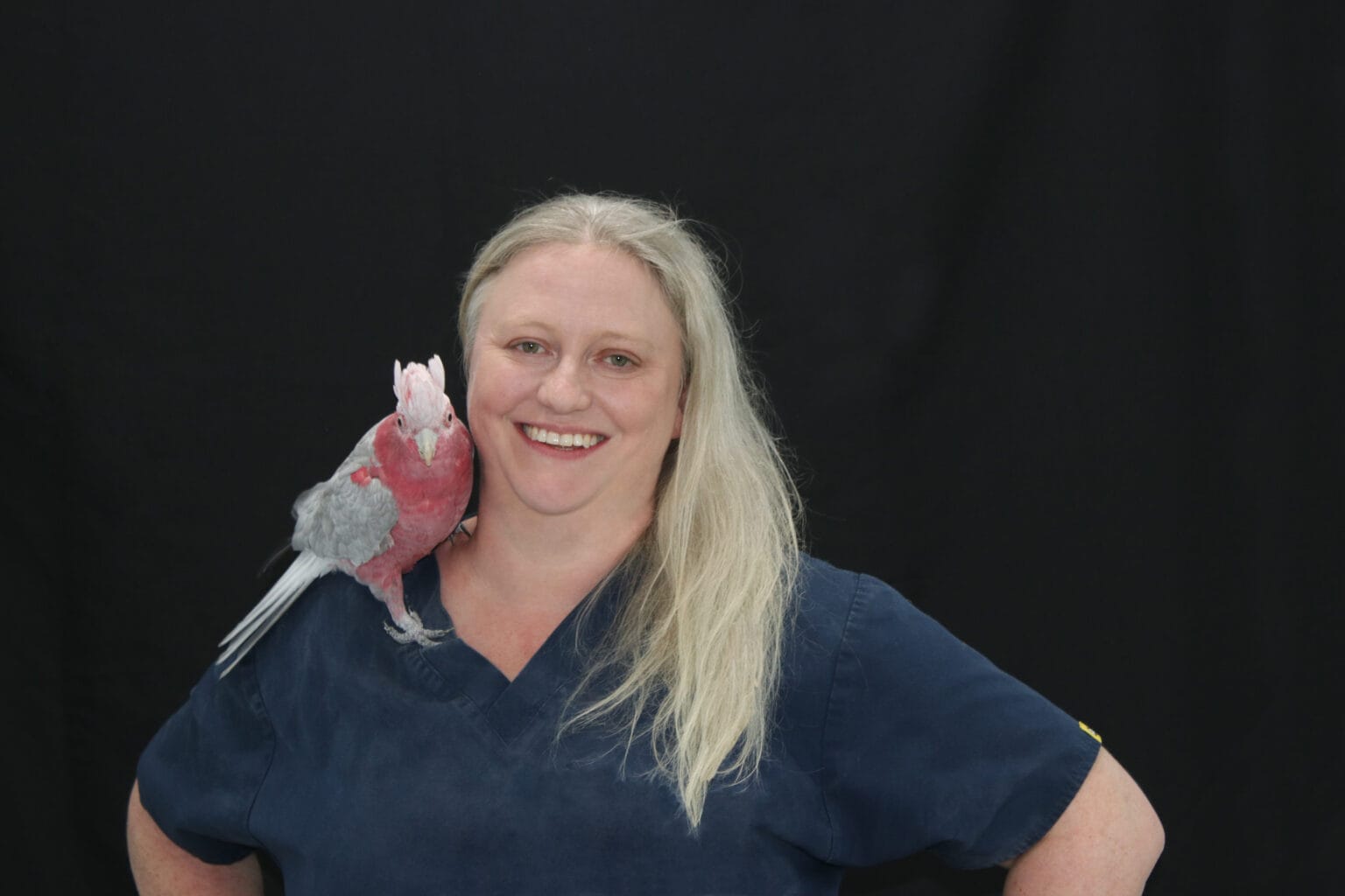 Bird Vet Melbourne | Experienced Avian Vet